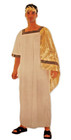 Toga Costume Men | eBay UK