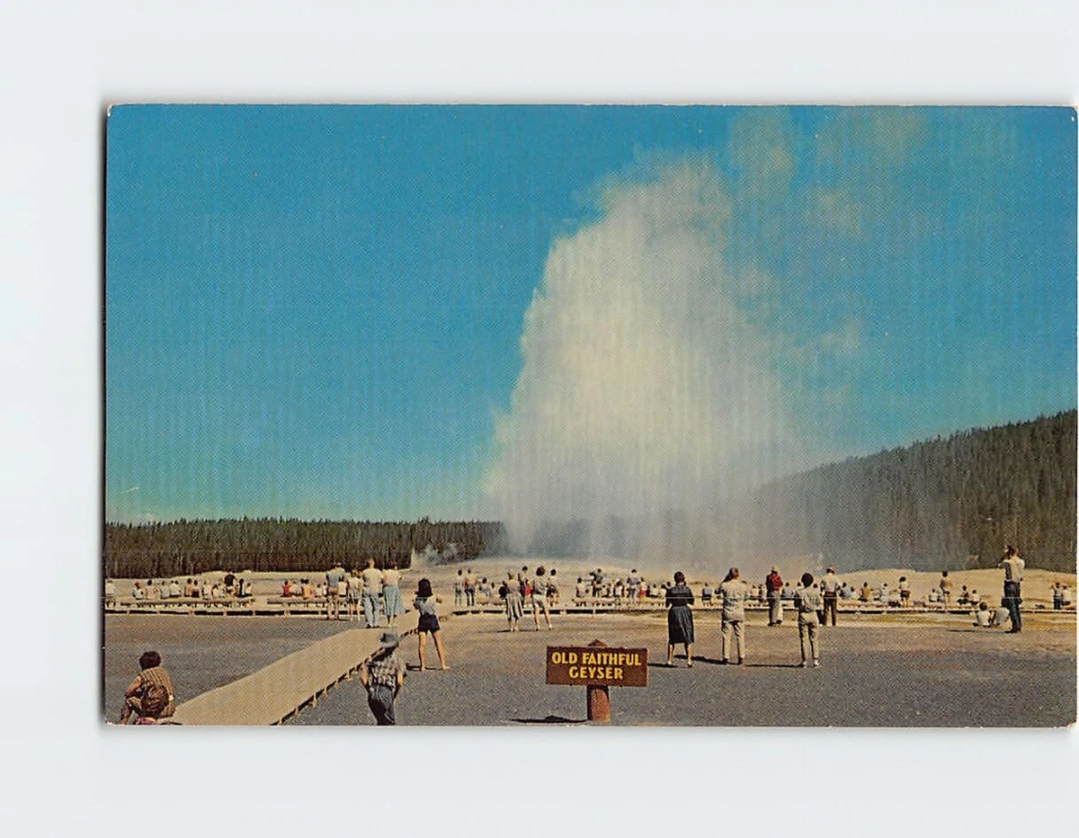 Old Faithful Postcard