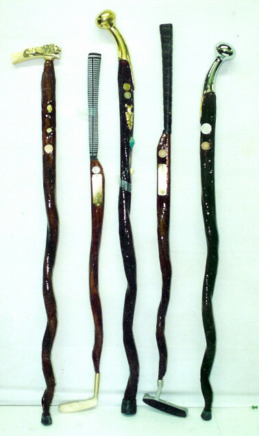 CANE ~ WALKING STICK FROM BULL SEX ORGAN HAME KNOB FREE NAME TAG | eBay