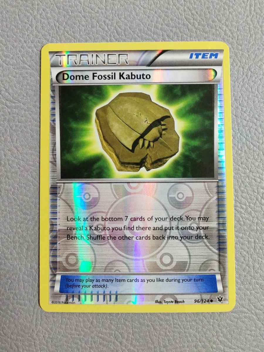 What Is Dome Fossil Hotsell | emergencydentistry.com