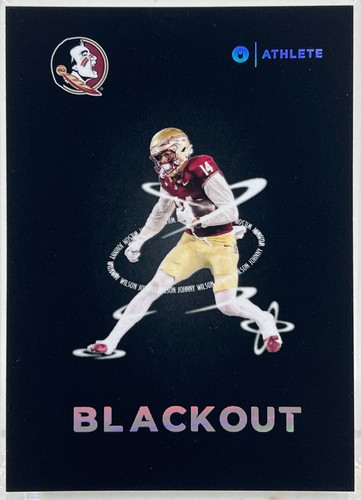 Johnny Wilson 2023 ONIT Blackout Silver Florida State Seminoles | eBay
