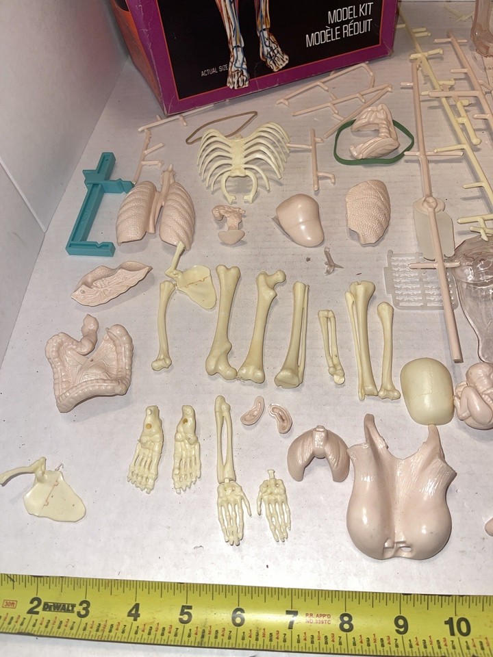 INCOMPLETE Revell Invisible Woman Model Kit w box & Booklets Bones ...