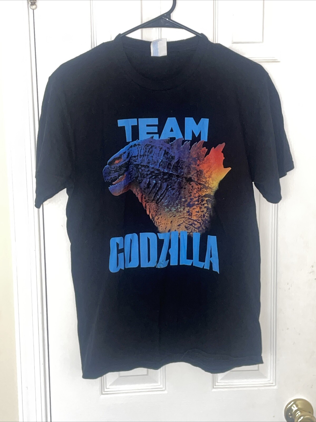 GODZILLA VS KONG - TEAM Godzilla MOVIE PROMO WARNER … - Gem