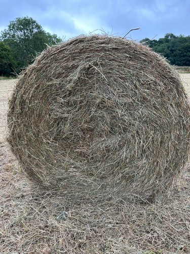 Round Bale Hay | eBay UK