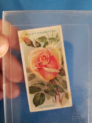"LADY ROBERTS ROSE".VTG WILLS'S CIGARETTES CARD.RARE. | eBay