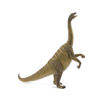 CollectA Realistic Animal Replica Plateosaurus Dinosaur Figure Ages 3 ...
