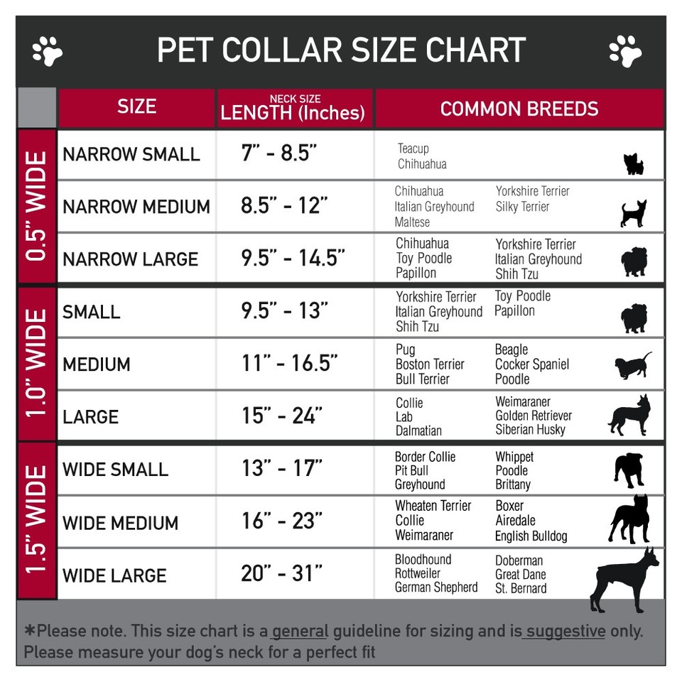 Plastic Clip Collar Camo'stache WIDE-Medium 16-23" (US IMPORT) | eBay ...