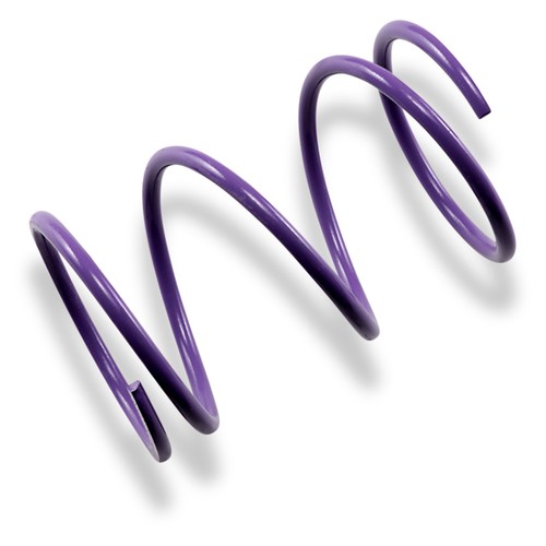 EPI Secondary Driven Clutch Spring-Purple for 2004 Ski-Doo MX Z 440 X ...