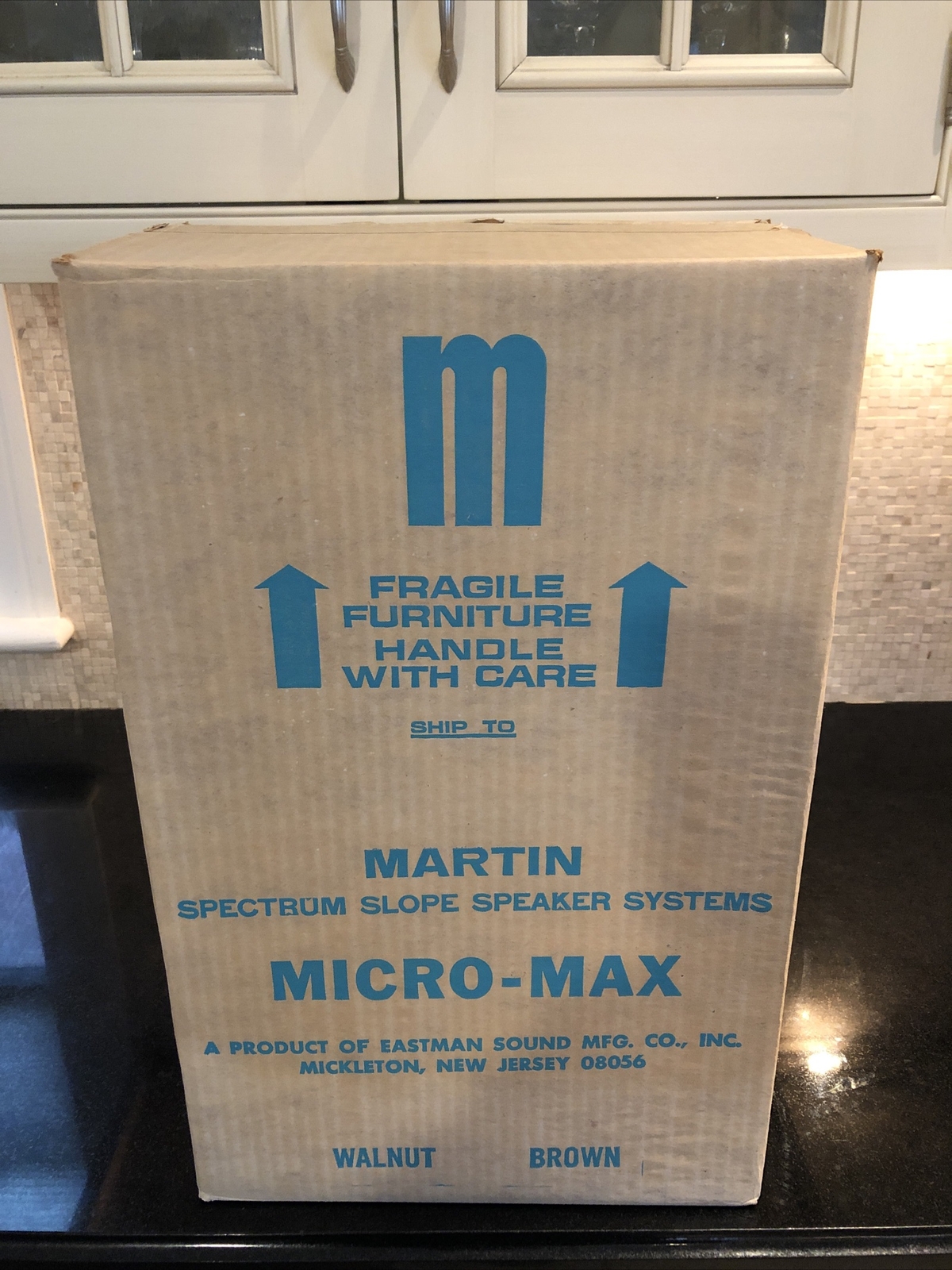 New NOS Boxed Martin USA Speaker Eastman Sound Spectrum Slope (1 ...