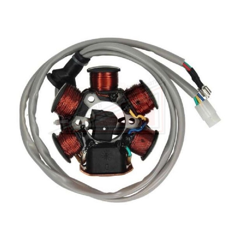 Stator Piaggio ZIP 50 FAST RAIDER 1996-1997 830294 | eBay