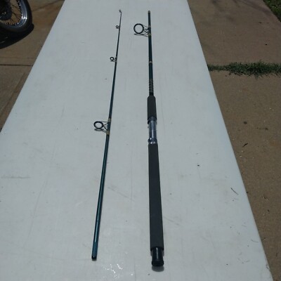 Rods - Daiwa Apollo