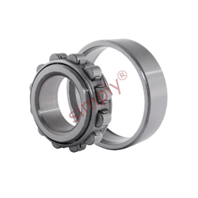 N209 Budget Single Row Cylindrical Roller Bearing 45x85x19mm | eBay ...