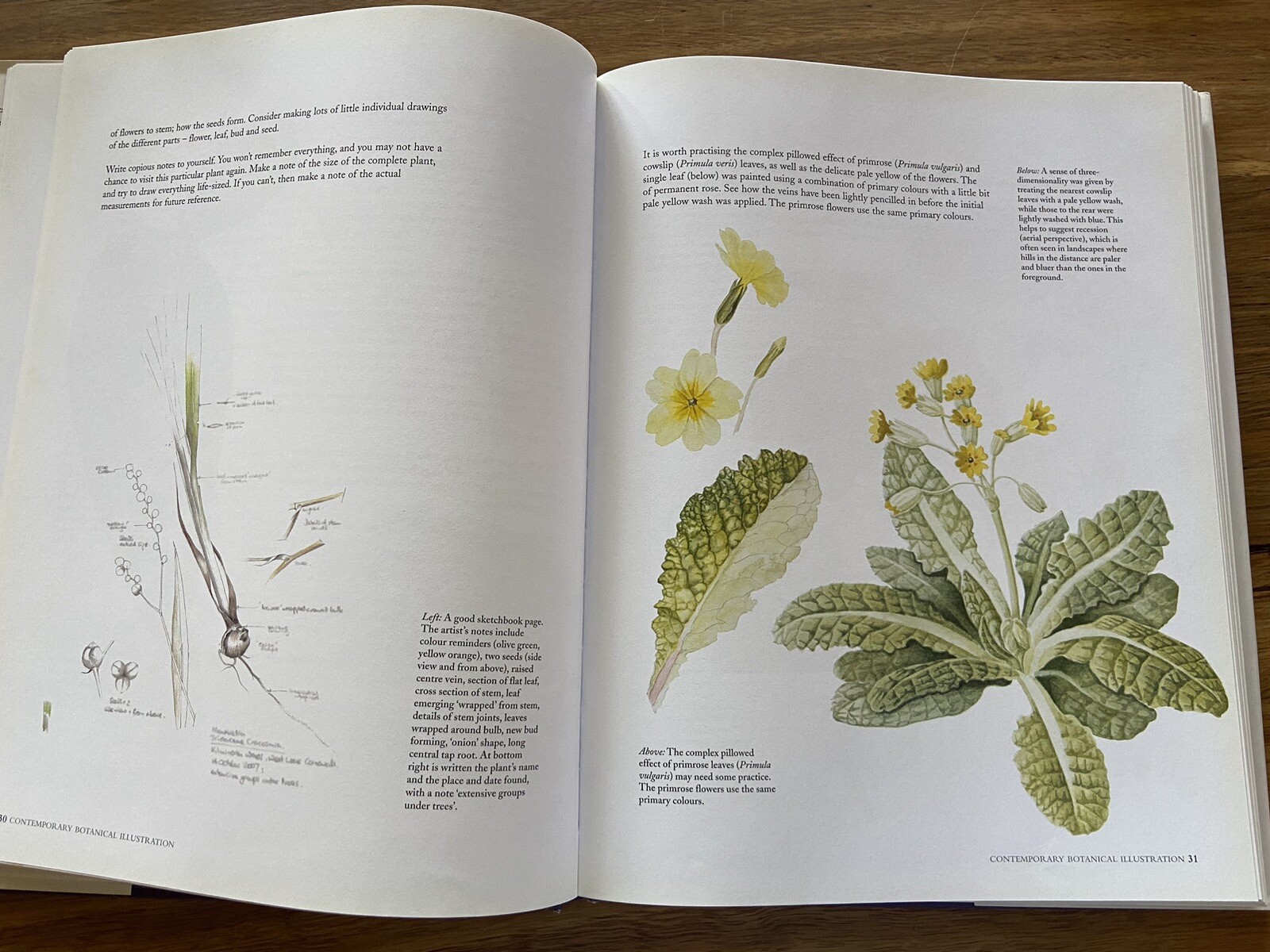 Contemporary Botanical Illustration: Challenging Colour and Texture by ...