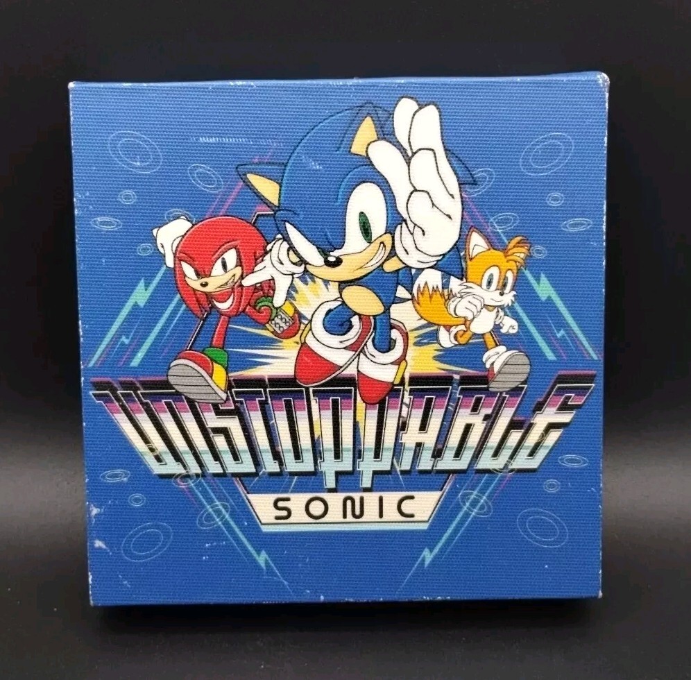 Sonic the Hedgehog Canvas Art Sega Sonic the hedgehog… - Gem