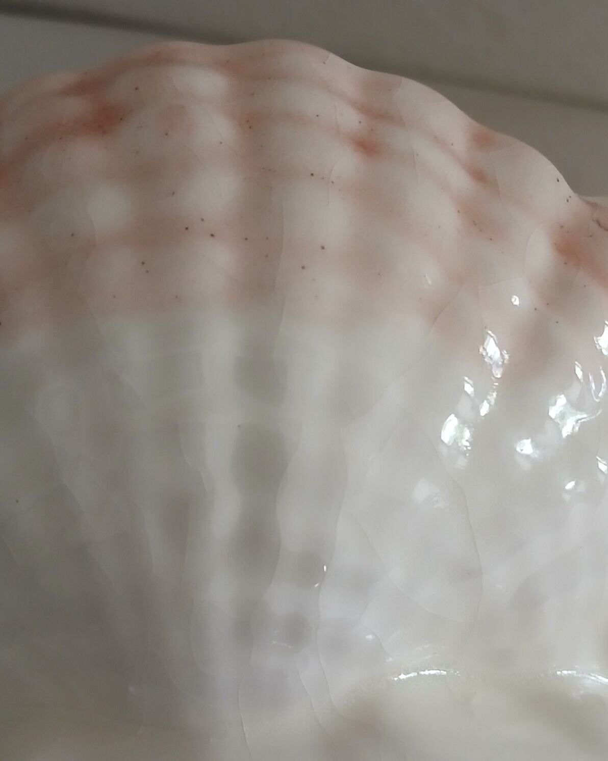 Ceramic Seashell Pink & White Scalloped Bowl Beach House Decoration 12 ...