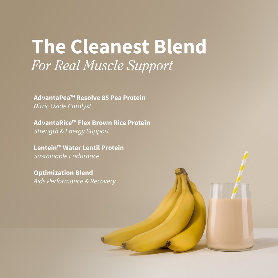 SNAP Protein Powder + Nitric Oxide Booster 21g CLEAN Protein 30 ...
