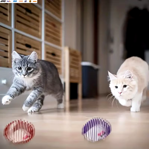 3Pcs Random Color Cat Spring Balls Stretchable Cat Springs Toys ...