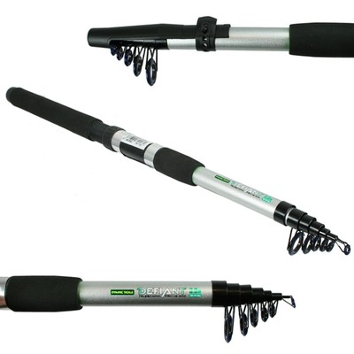 10ft Telescopic Travel Fishing Rod Coarse Carp Sea Fishing | eBay UK