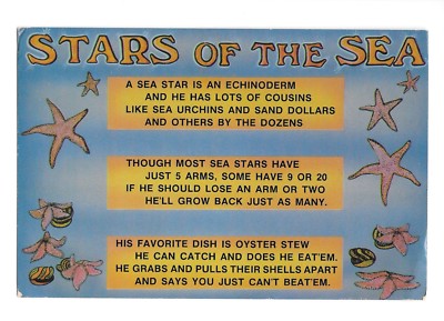 Vintage Postcard Stars Of The Seas Sea Stars Poem Unposted Happy ...