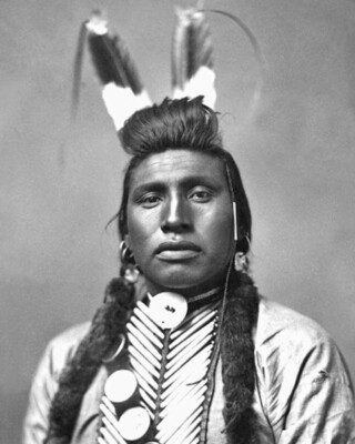 Native American CHIEF WHITE BULL Glossy 8x10 Photo Sioux Indian Print ...