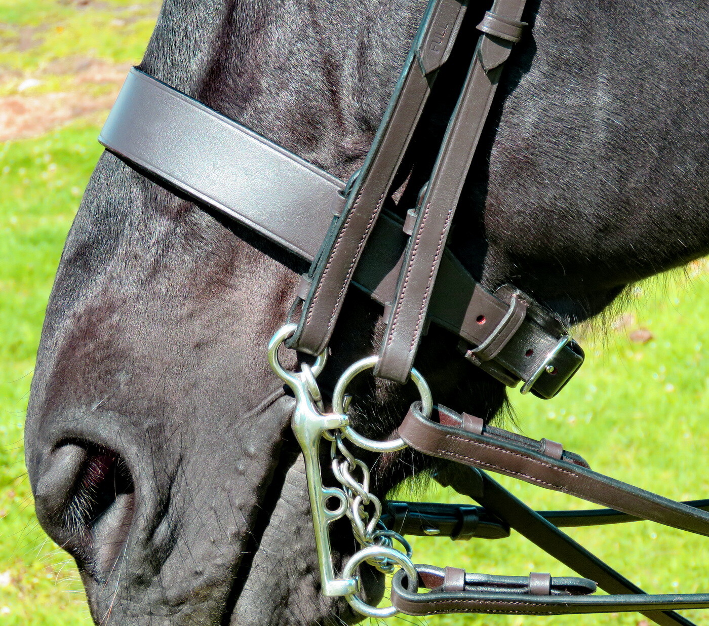 FSS Hunter Bridle Leather Traditional English Working Show Hunt Single ...