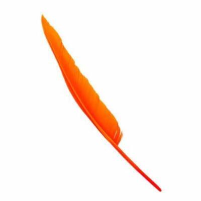 Goose Flight Wing Feather x 5 pcs - Orange | eBay