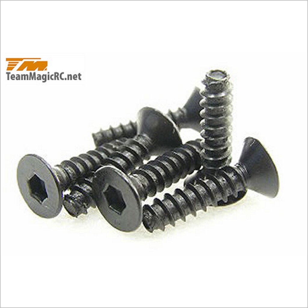 Steel F.H. Self-Tapping Screw #116312 (RC-WillPower) TeamMagic E6 III ...