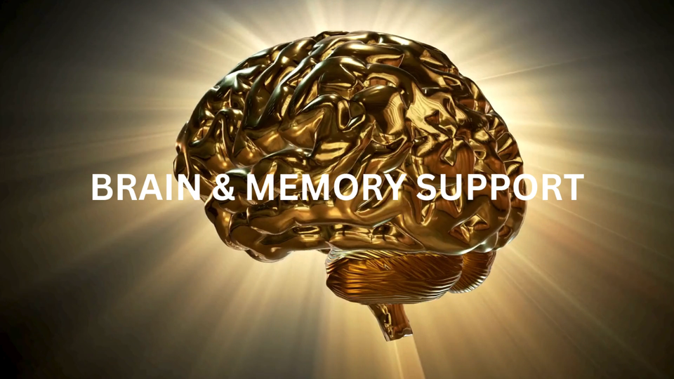 BRAIN AND MEMORY SUPPLEMENTS - Brain Supplement for Memory & Focus ...