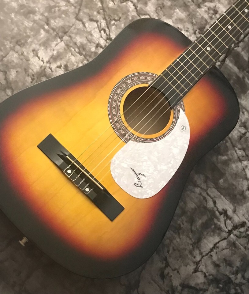 GFA Youngbloods Star * LOWELL BANANA LEVINGER * Signed Acoustic Guitar ...