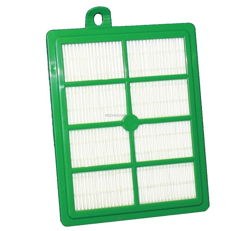 Electrolux H12 HEPA Filter- A Must for Allergy and Asthma Sufferers! | eBay