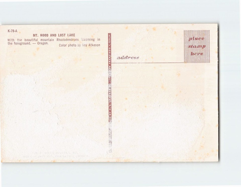 Postcard Rhododendrons And Mt. Hood, Oregon | eBay