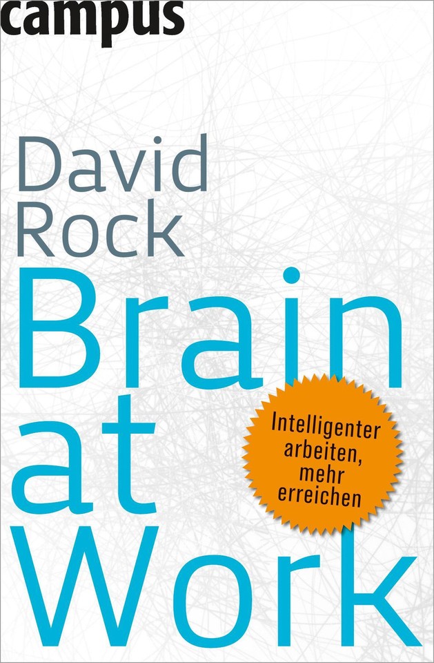 David Rock Brain at Work | eBay