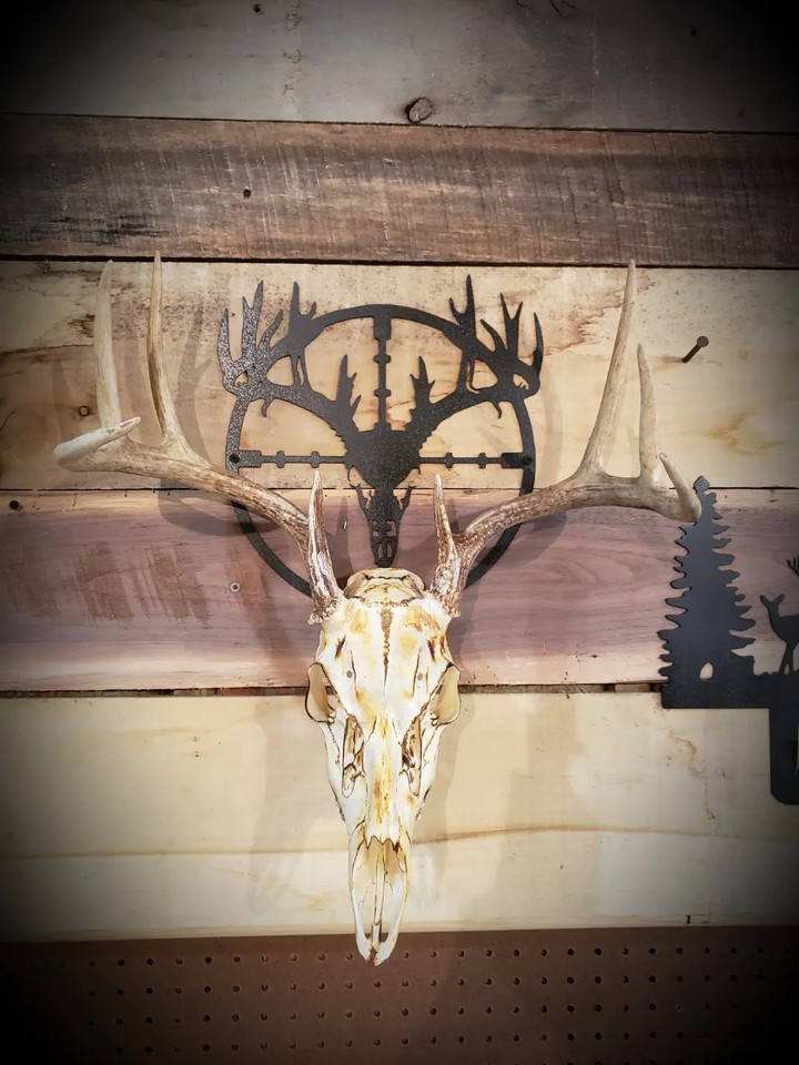 Scope European Skull Mount Hanger | eBay