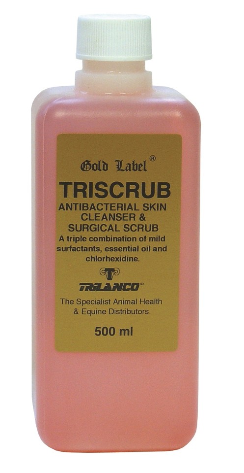 Gold Label Triscrub ALL SIZES antibacterial skin cleanser and surgical ...