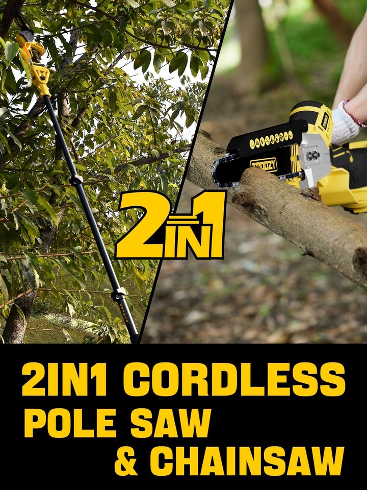 Cordless Pole Saw, 8-INCH 2-IN-1 Chainsaw, Electric Tree Trimmer with ...