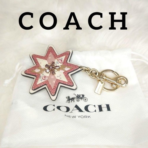 Coach Flower Glitter Bijoux Charm Keyring Donation to Guide Dogs Used ...