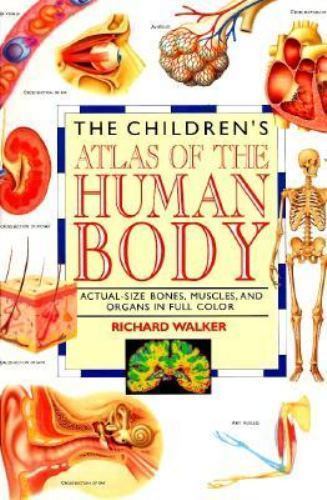 Child Atlas: Human Body by Richard Walker 9781562945039| eBay