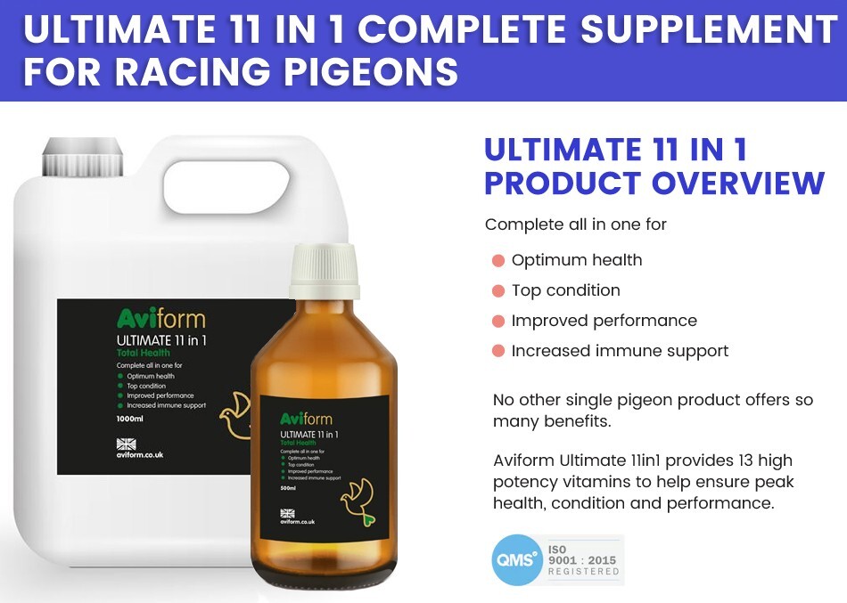 Aviform Ultimate 11 in 1 | Complete Liquid Supplement for Racing ...