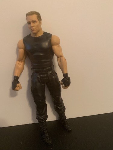 WWE Action Figures | eBay