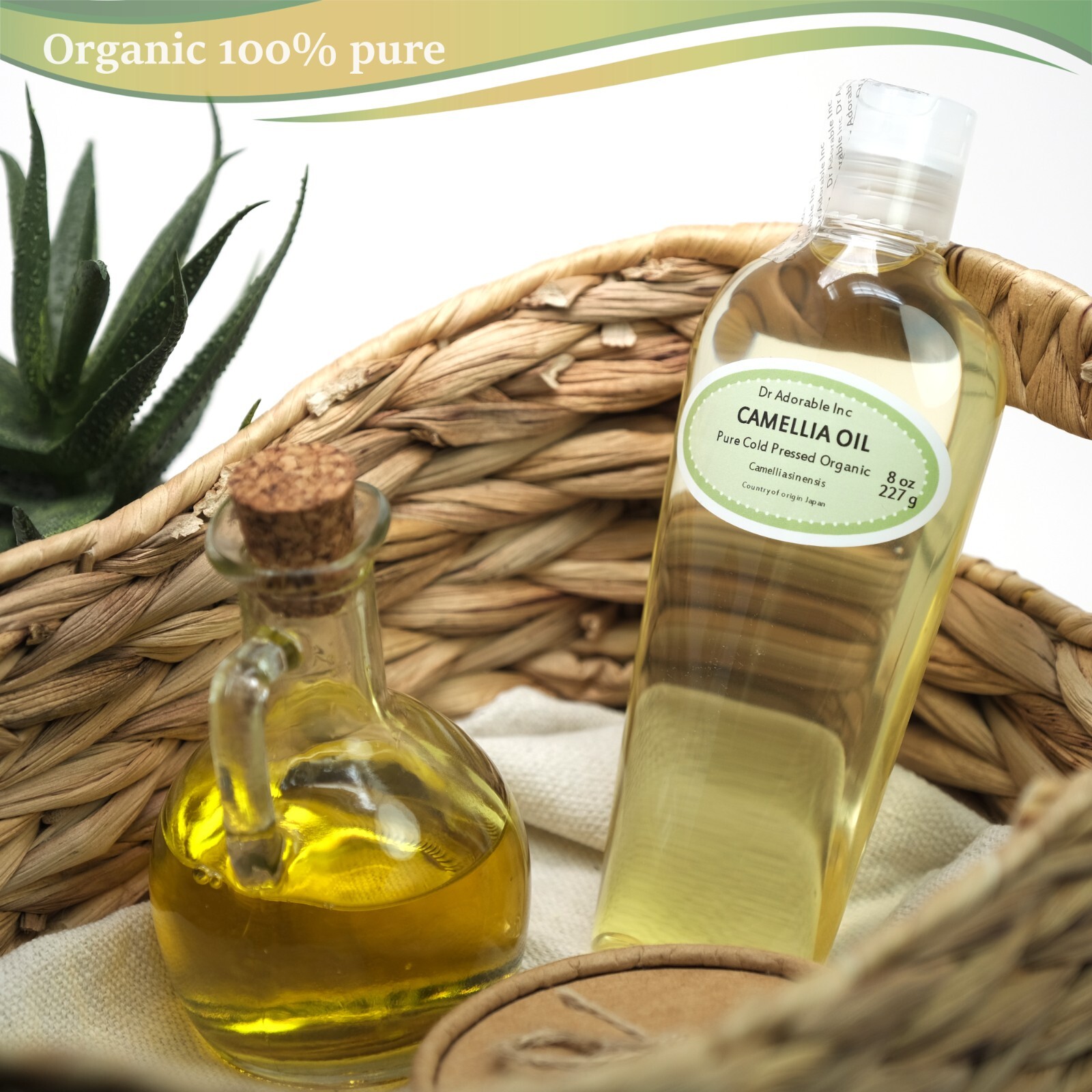 PURE ORGANIC CAMELLIA SEED OIL TEA TREE SEED OIL COLD PRESSED from 2 oz ...