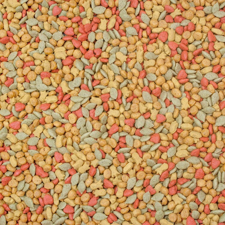 Higgins Premium Pet Foods Intune Conure & Cockatiel 40lb (30252) | eBay