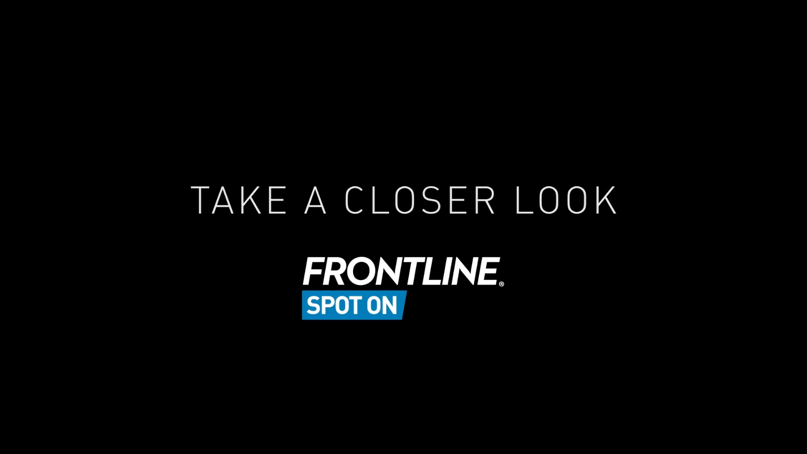 FRONTLINE SPOT ON Dog Cat Flea Treatment For Cat & Dogs 1,3,6 AVM-GSL ...