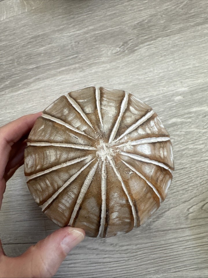 3- Hand Carved Boho Round Wood Ball Sphere Orb Masterpiece Decor/Play ...