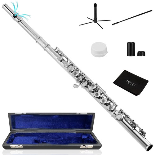 Silver Plated Open Hole Flute, Musical Instruments Flute for Beginner ...
