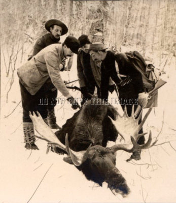 ANTIQUE EARLY PRE 1900 HUNTING REPRO 8X10 PHOTO MOOSE HUNTING RIFLE | eBay
