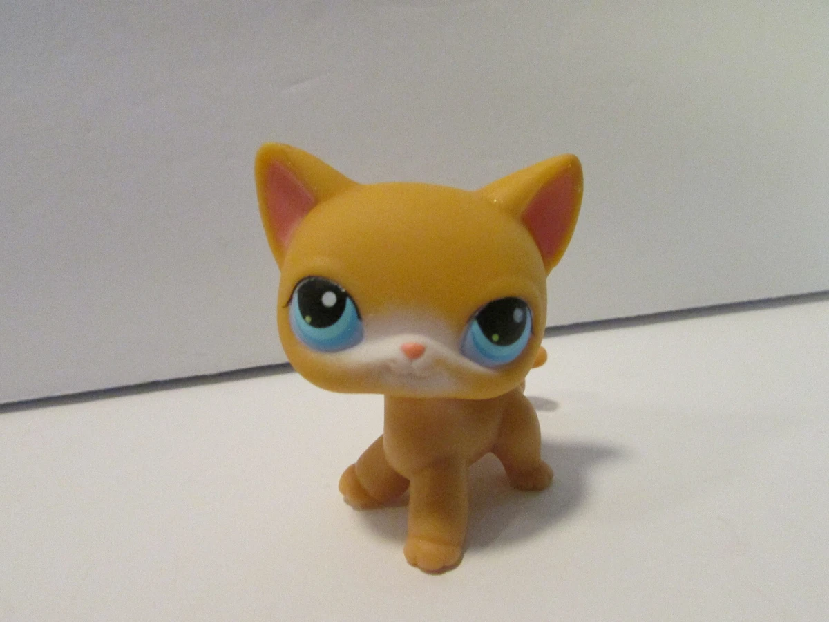 Littlest Pet Shop Cat Ebay