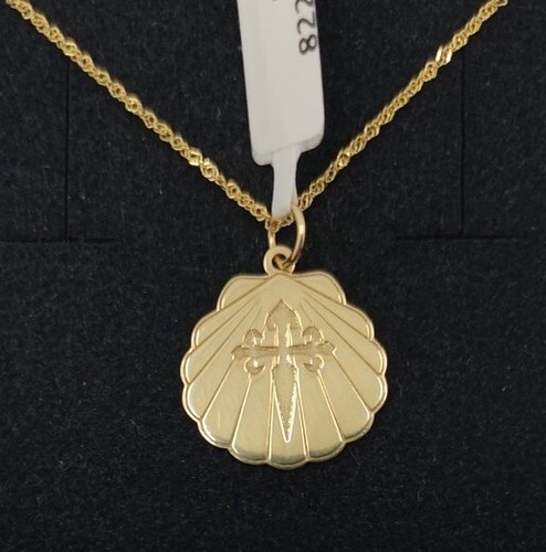 Pendant And Chain Gold 18k 750 Mls. Shell Cross Of Santiago Solid Flat ...