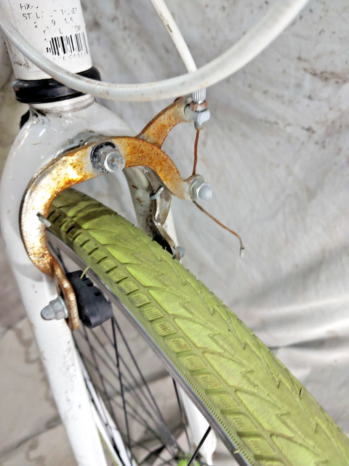 2010 Magna Fix-D FlipFlop Fixed Gear Bike 55cm Medium Fixie SS Steel ...