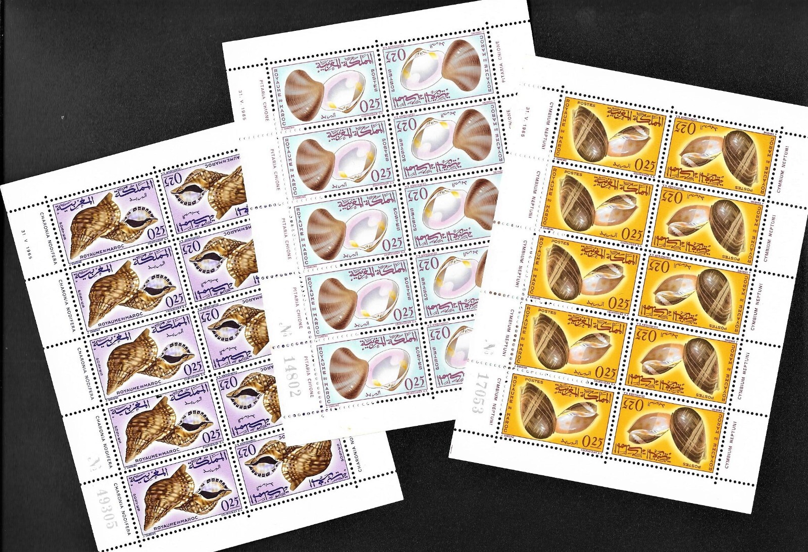 TIMBRE MAROC MOROCCO -N°488**à 490**- Planches - Faune - Coquillages ...