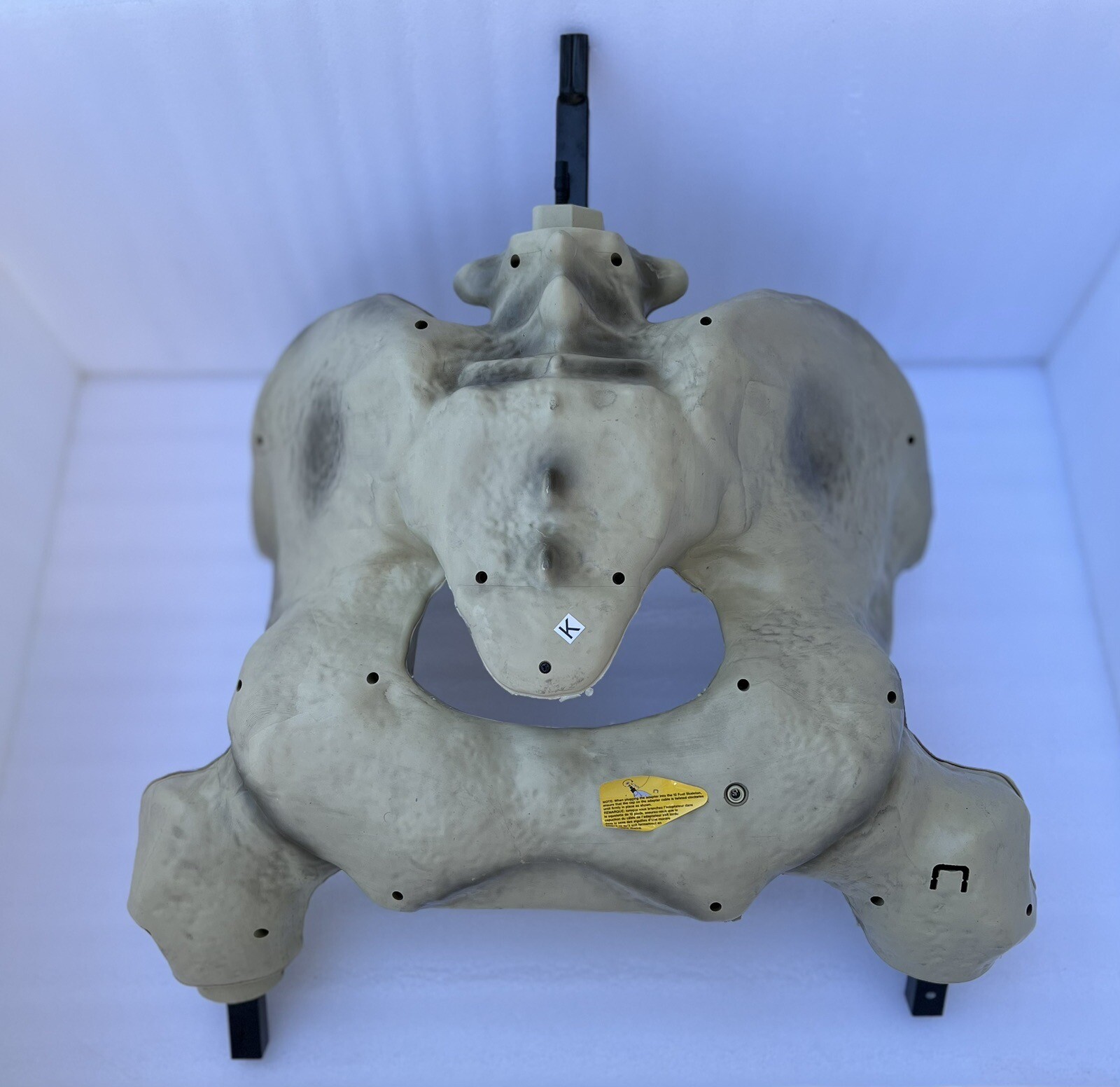 NEW Home Depot 12ft Skeleton Replacement Pelvis Torso Repair Parts 12 ...